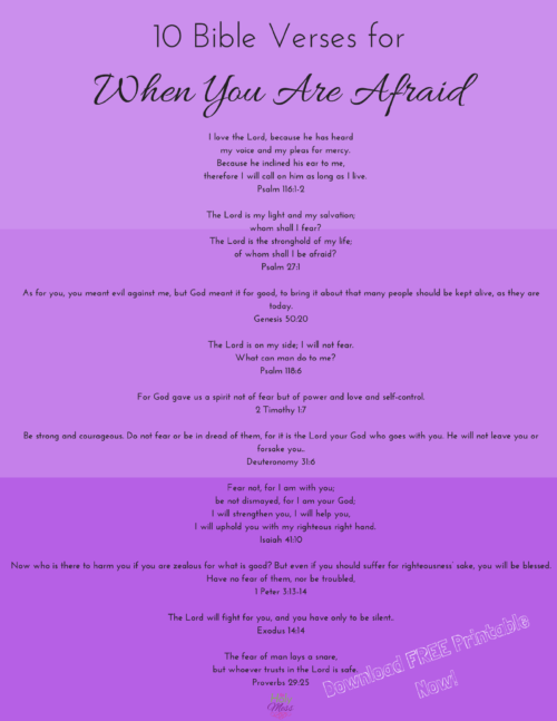 10 Bible Verses of Encouragement for When You Are Afraid