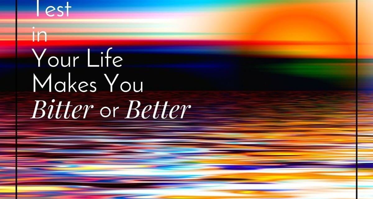 Every Test in Your Life Makes You Bitter or Better. The Holy Mess