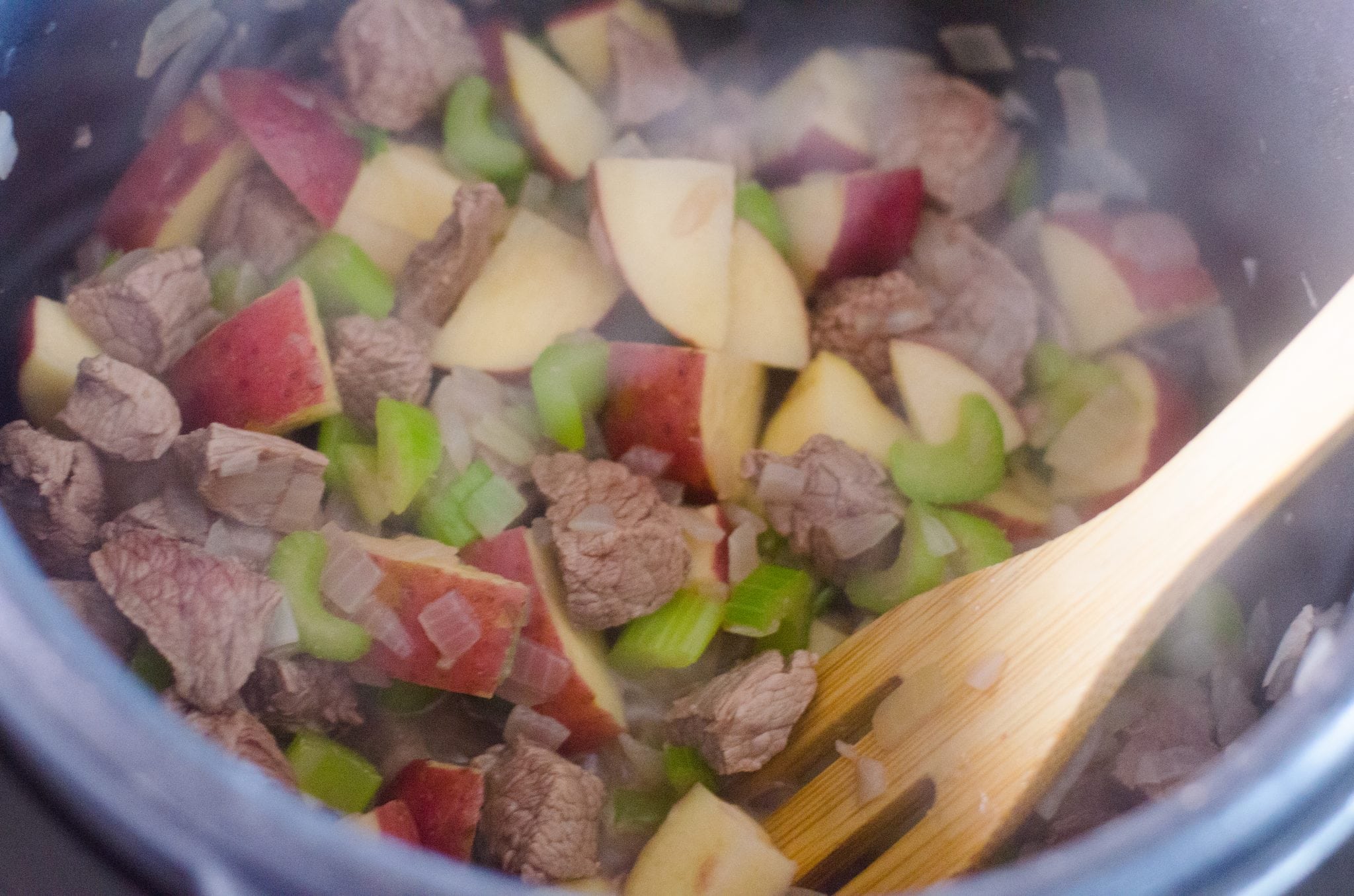 Instant Pot Hearty Beef Stew Recipe