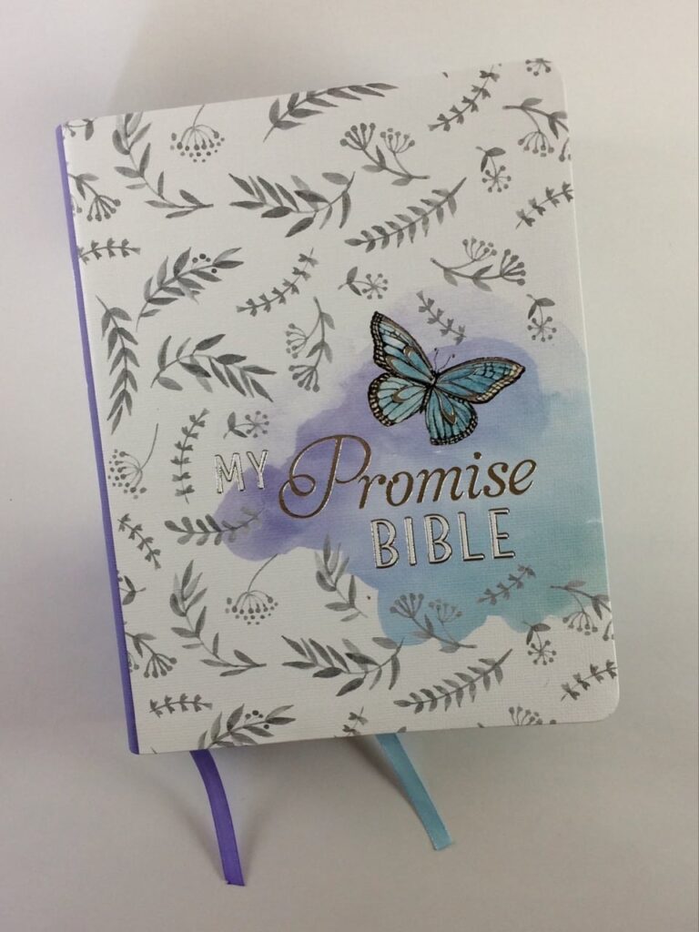 My Promise Bible Flip Through