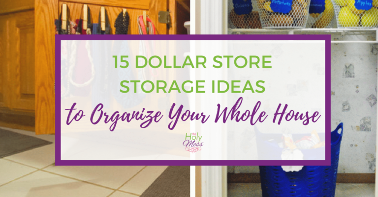 15 Dollar Store Storage Ideas to Organize Your Whole House - The Holy Mess