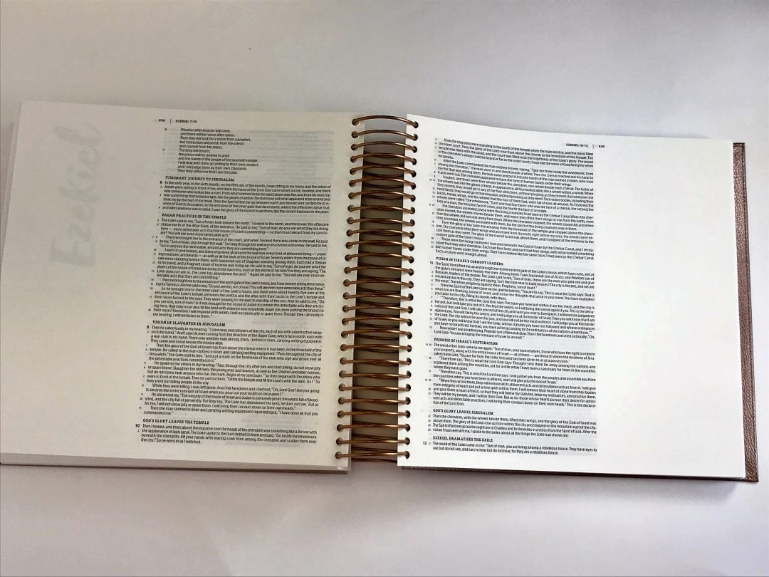 The Illustrating Bible Review and Flip Through