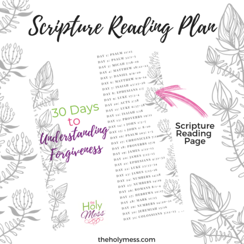 30 Day Bible Reading Plans: 25+ Free Collections to Guide You