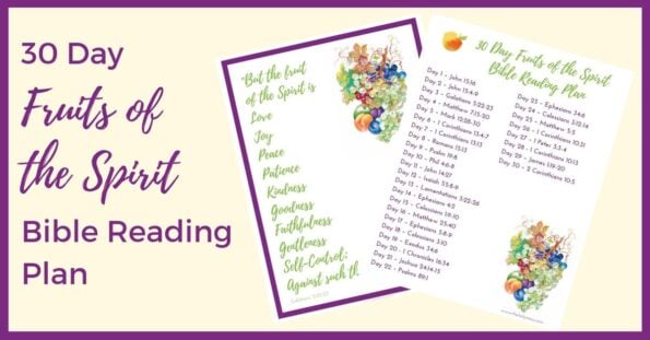 30 Day Bible Reading Plans: 25+ Free Collections to Guide You