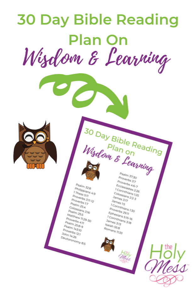 30 Day Bible Reading Plan for Wisdom and Knowledge The Holy Mess