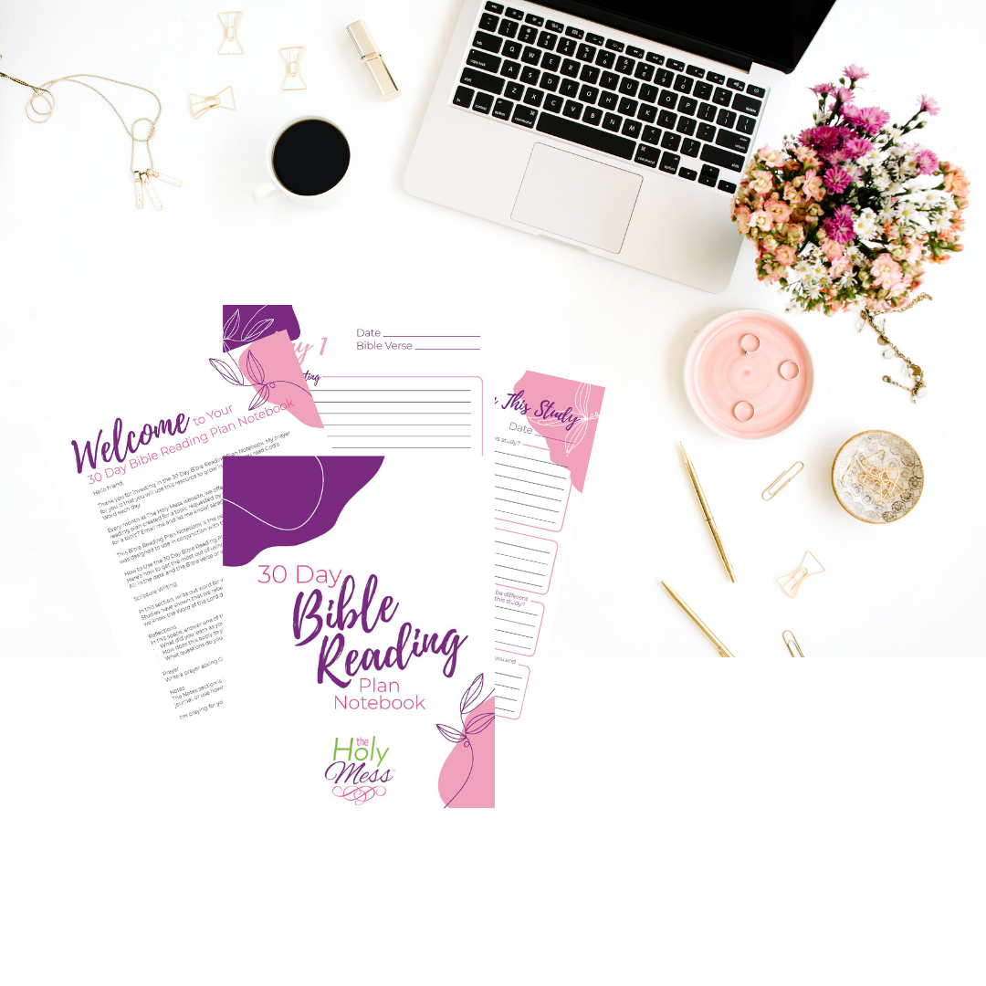 30 Day Bible Study Notebook PDF Printable The Holy Mess