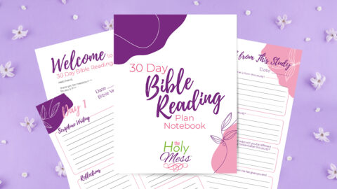 30 Day Bible Study Notebook PDF Printable The Holy Mess