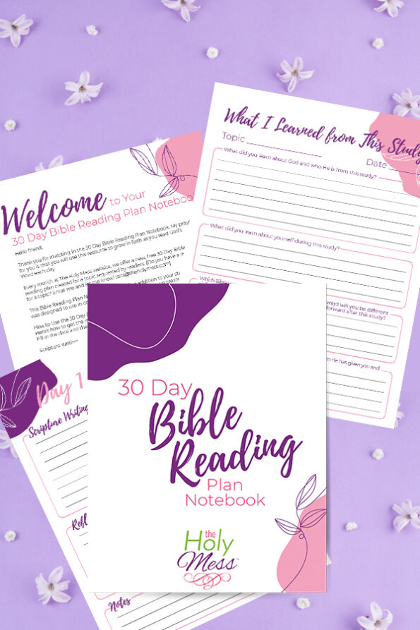 30 Day Bible Study Notebook PDF Printable The Holy Mess