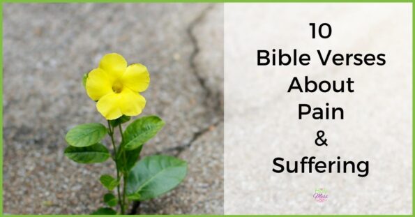 10 Bible Verses about Pain and Suffering: Find Hope & Peace