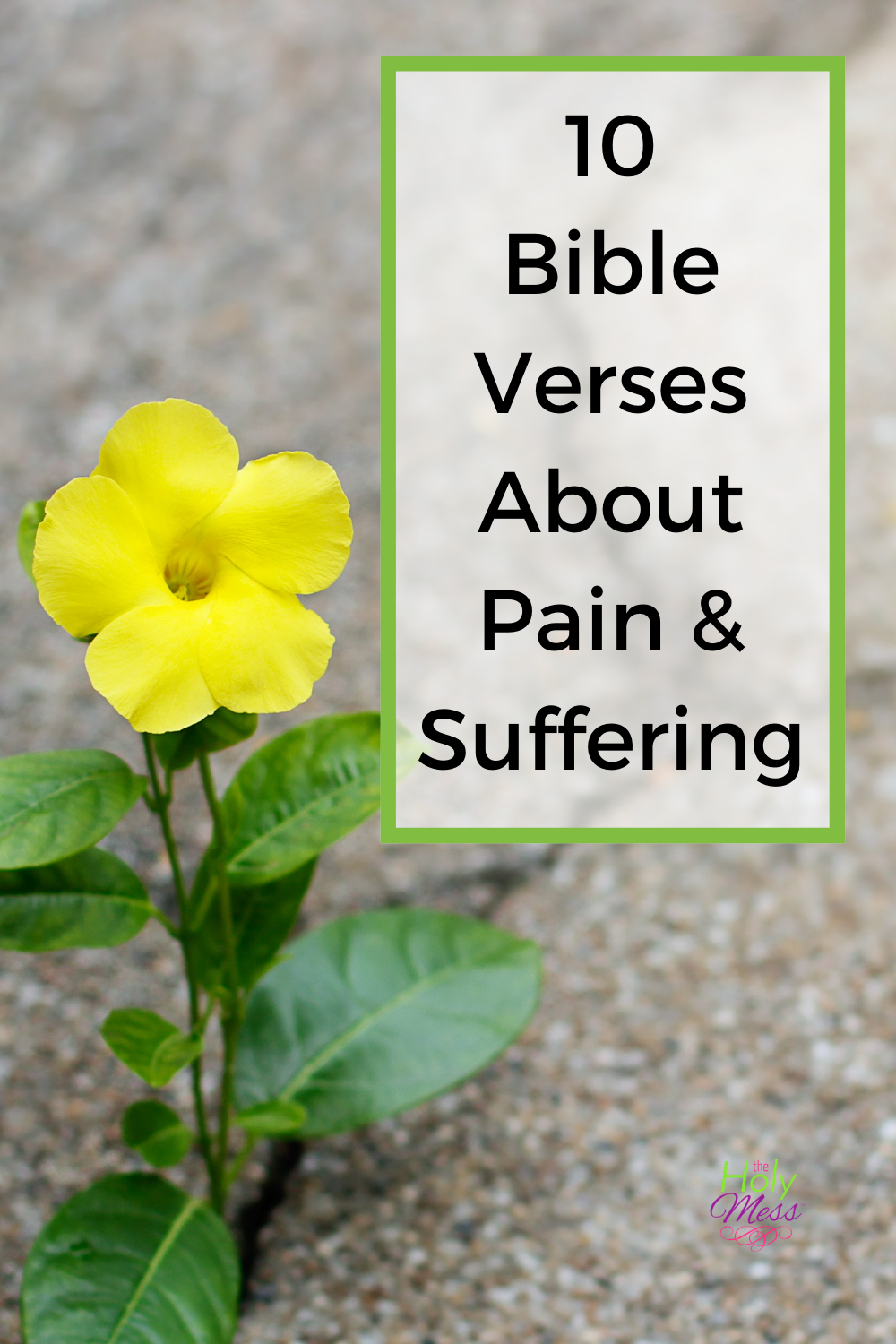 10 Bible Verses about Pain and Suffering: Find Hope & Peace