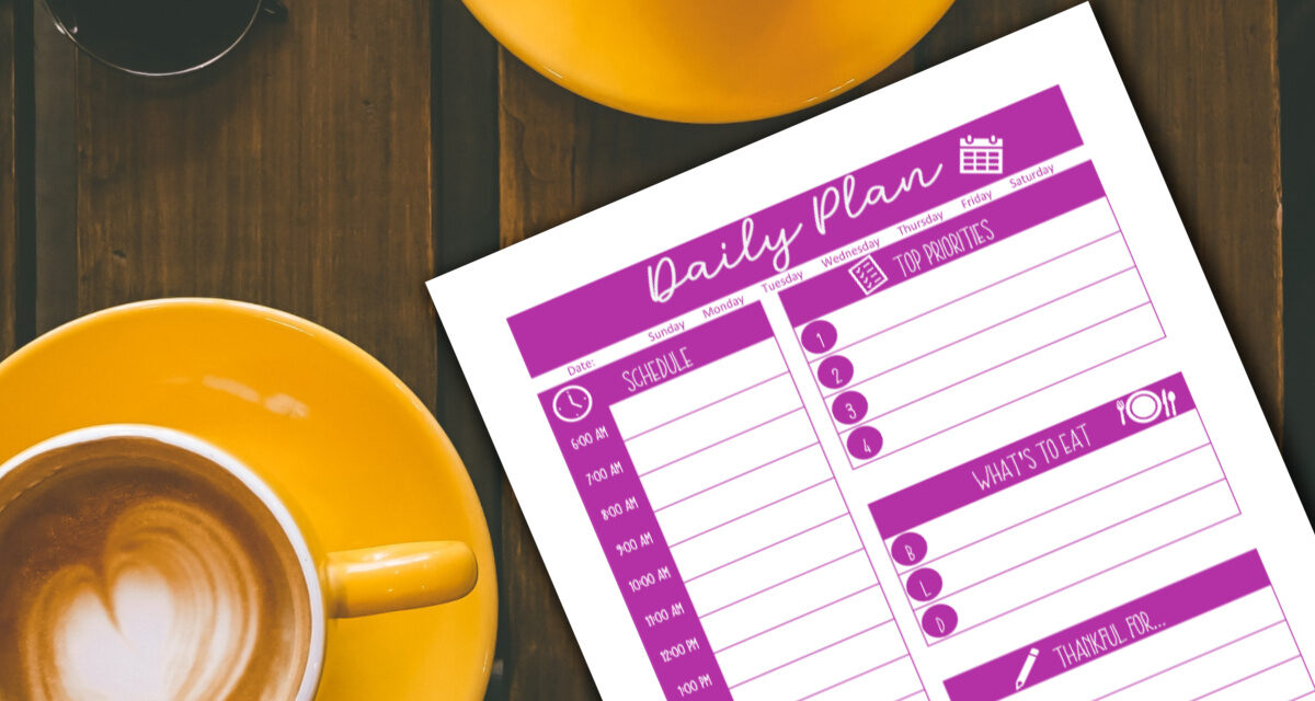 Daily Action Plan - Free Printable The Holy Mess