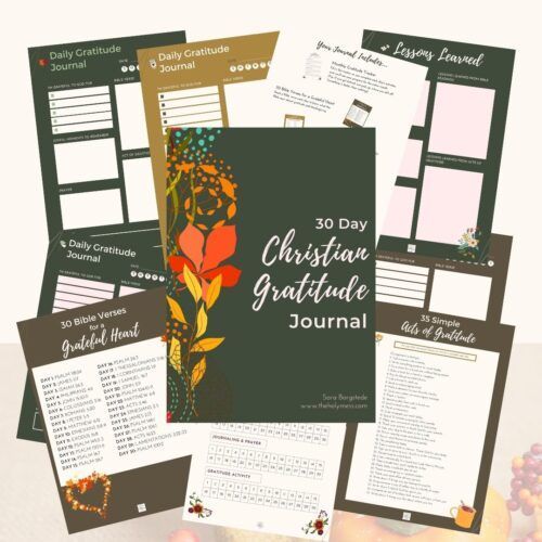 30 Day Christian Gratitude Journal The Holy Mess