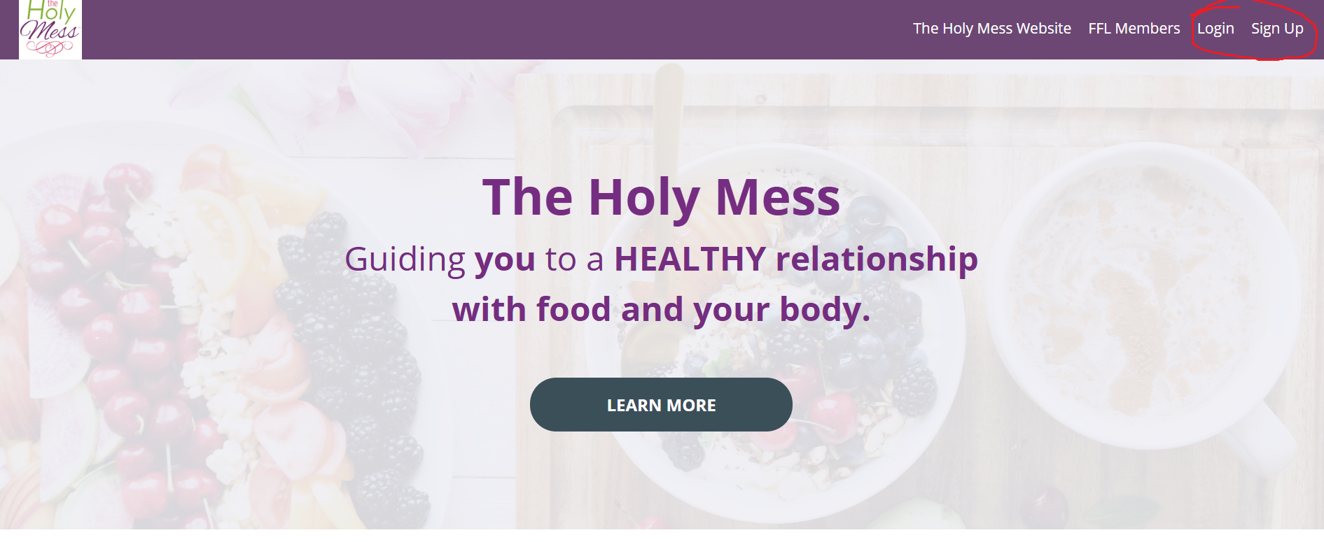 The Holy Mess Teachable Getting Started and Help Guide The Holy Mess
